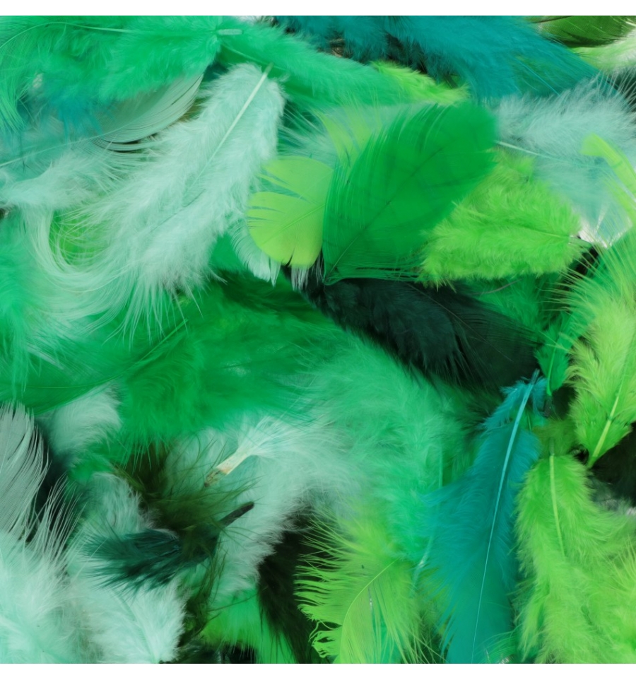Set plumas variadas Verde